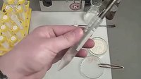 瑞士KINEMATICA AG - POLYTRON® PT 1200 E 匀浆机