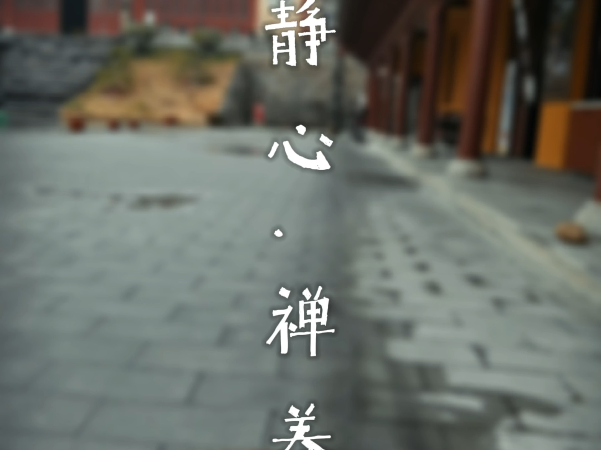 ...在此开设内家养生工作坊课程,初定四月份的周末。有兴趣可以私我。