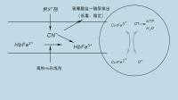 氰化物中毒及救治方法