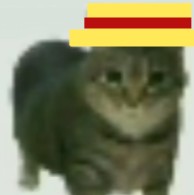 一个不是很屑的猫大号 