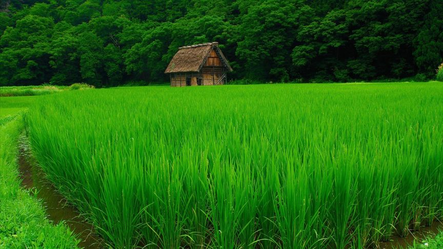 《内幕交易警示录》第2集 国家机关工作人员内幕交易案