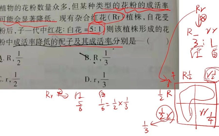遗传经典难题讲解3--雄配子致死1/3的遗传计算解法
