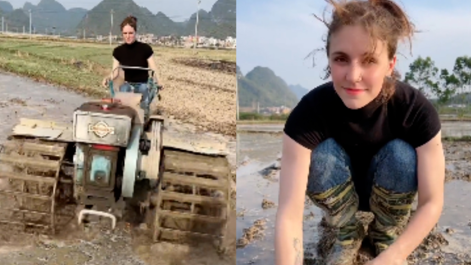 春耕来临!洋媳妇开拖拉机帮忙犁田播种水稻,引来众网友羡慕不已