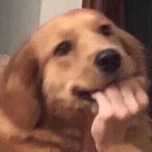G_G君 