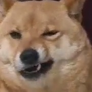 蓝星上的耀斑 