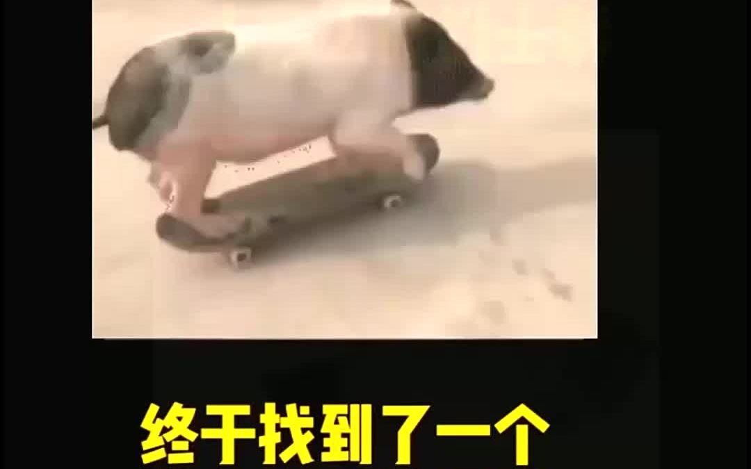 ...买出租苹果笔记本电脑MacBook Pro全国免押租赁租借考试游戏设计用