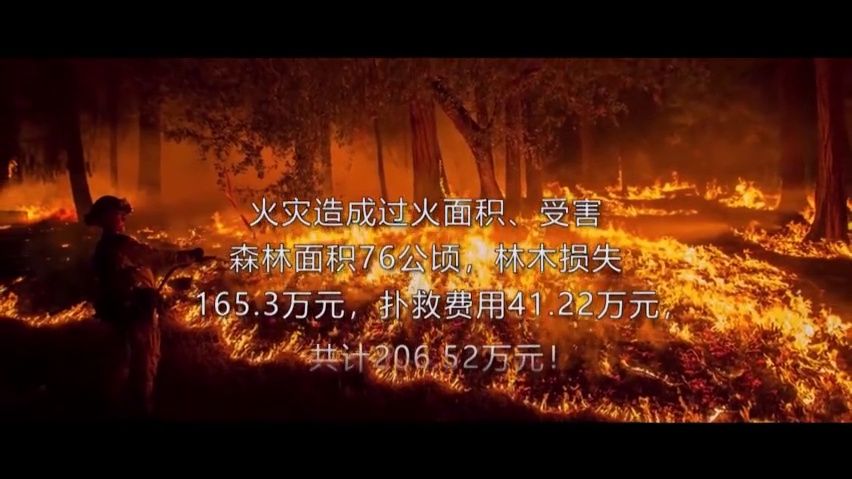 森林草原防灭火:防火于未燃,森林防火人人有责