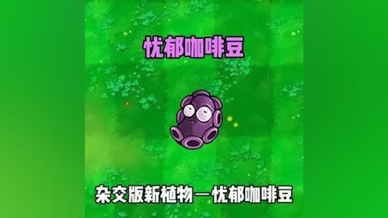 杂交版新植物 忧郁咖啡豆