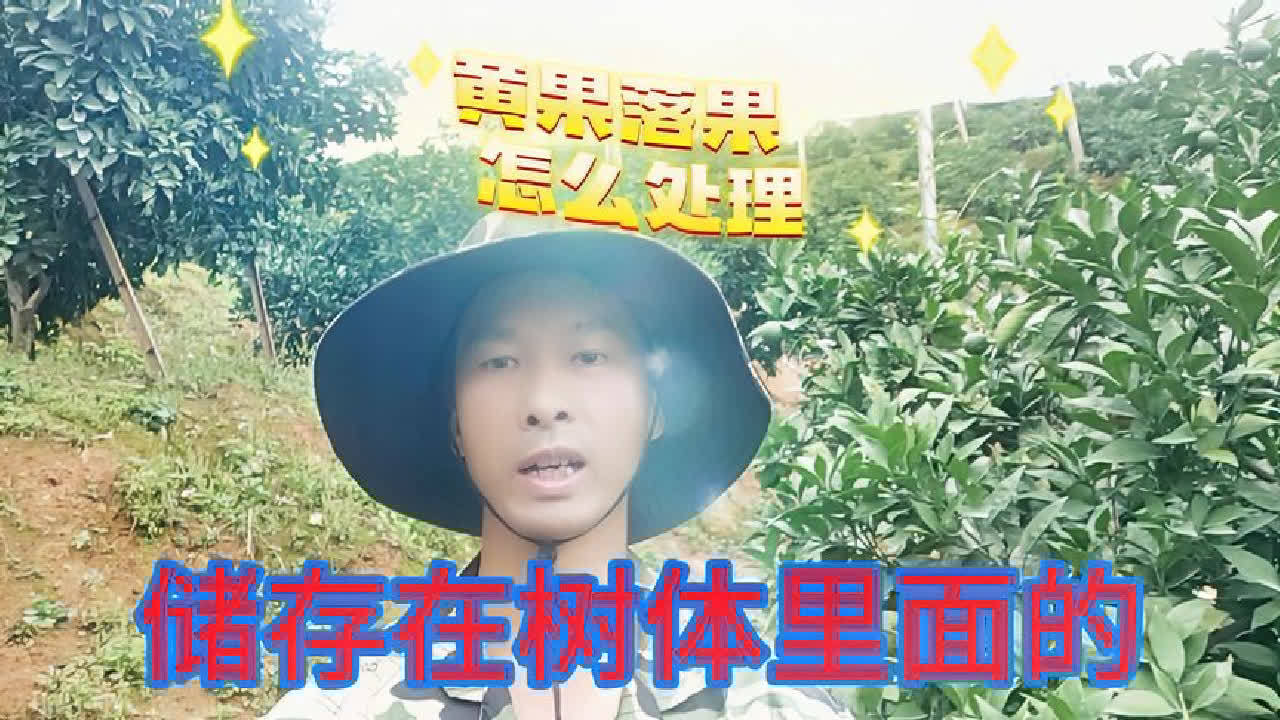 氨基酸的作用#中视频伙伴计划 #三农 #现场实拍 #618好物节