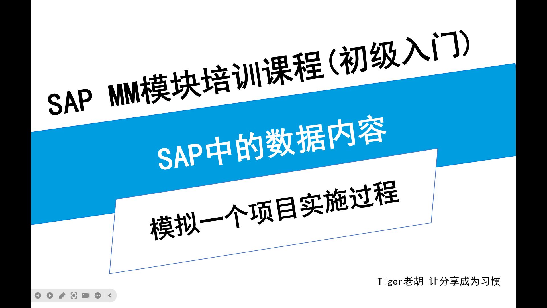 模拟一个项目-SAP中的数据内容