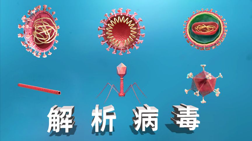 噬菌体 烟草花叶病毒 HIV病毒 流感病毒 冠状病毒的结构及外观