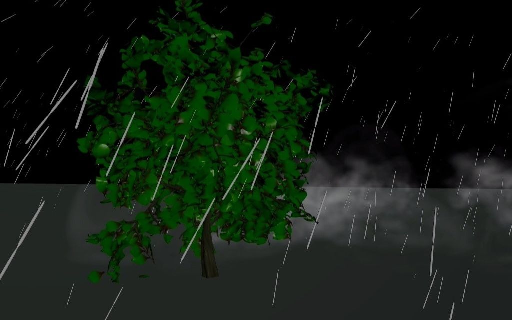 Houdini rainstorm树木雨打风吹效果