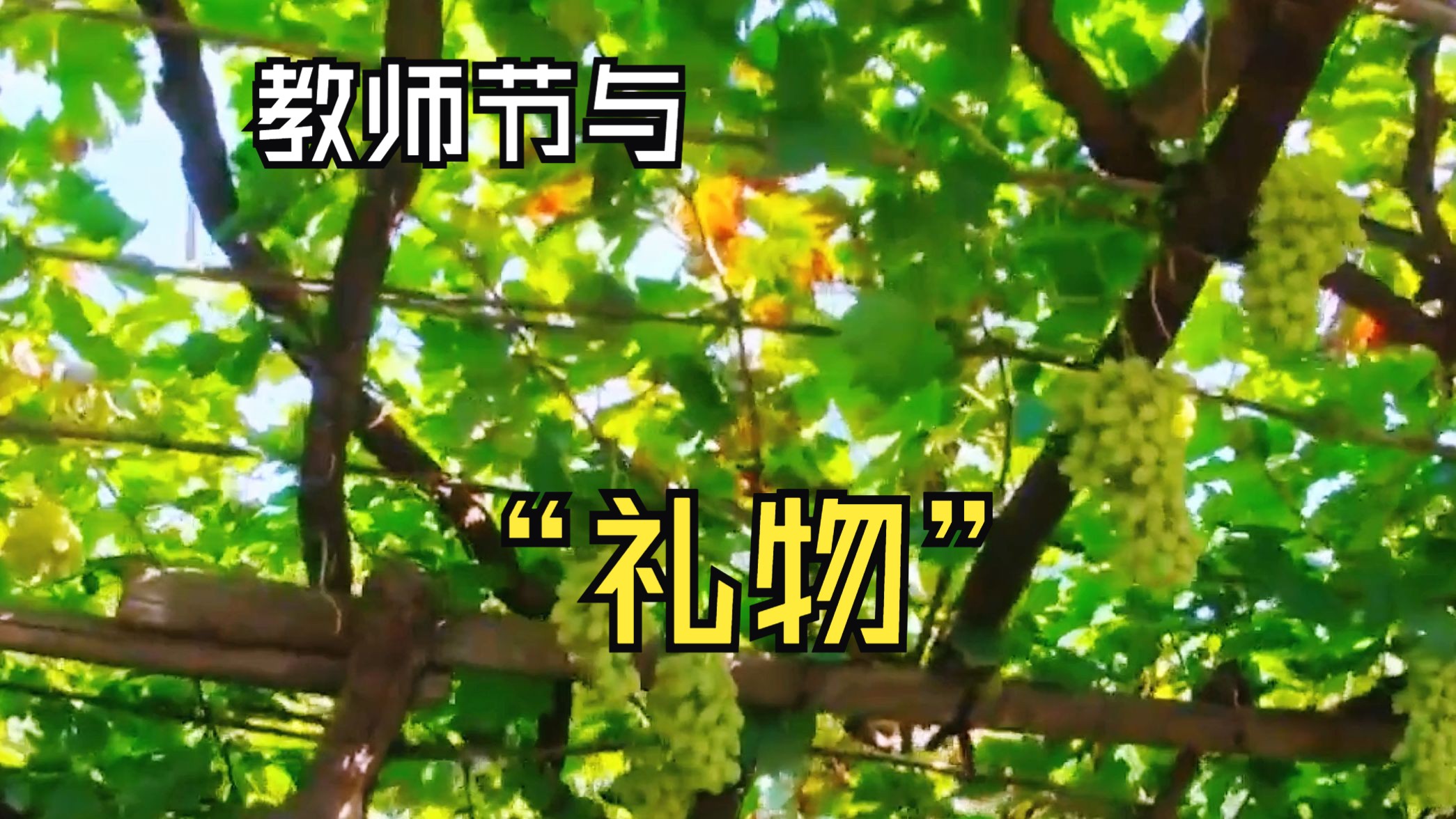 教师节与“礼物”,个人观点:以身作则,言传身教才是教师的本色