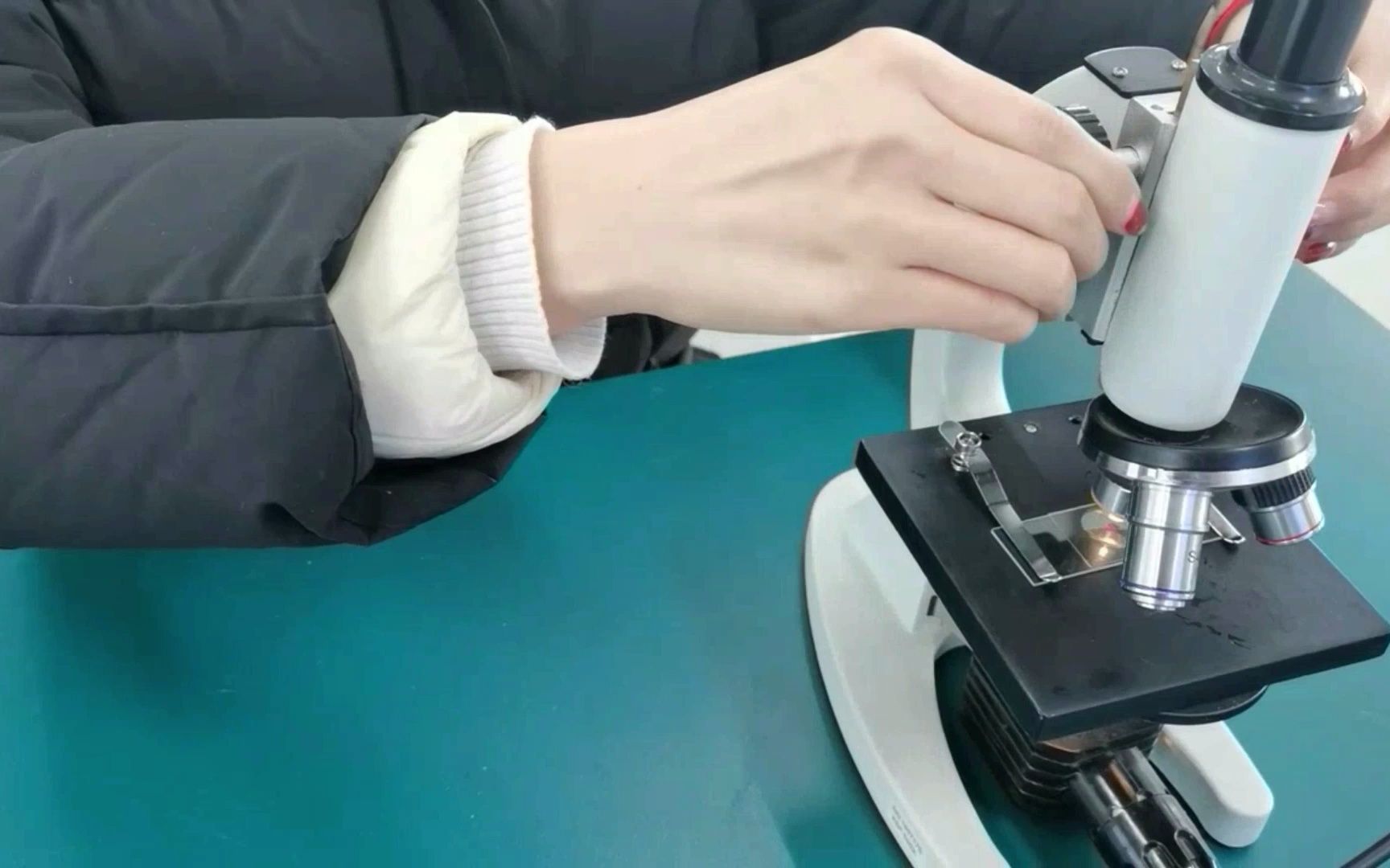 3.观察植物细胞的质壁分离