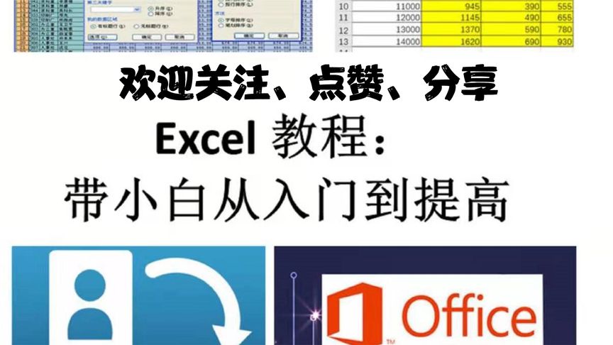 第67课 Excel教程:带小白从入门到提高 数据 自网站