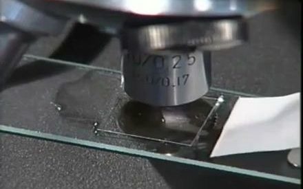 1.133高中生物必修一实验6.观察植物细胞的质壁分离和复原