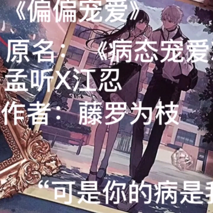 《偏偏宠爱》江忍,孟听