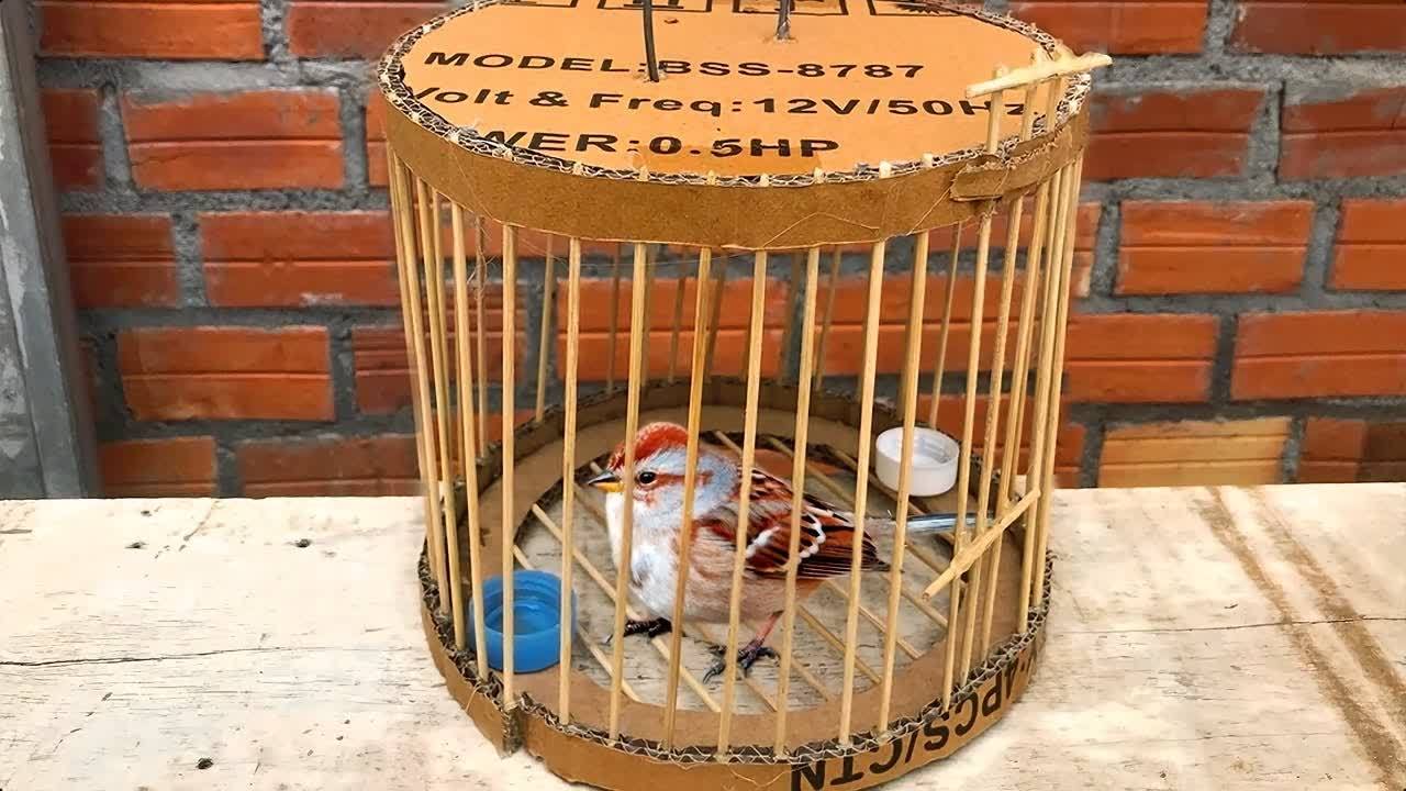 DIY实验室:用纸做简单的鸟笼,给你的宠物小鸟一个窝!