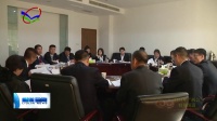 王琴、李海斌参加代表团审议