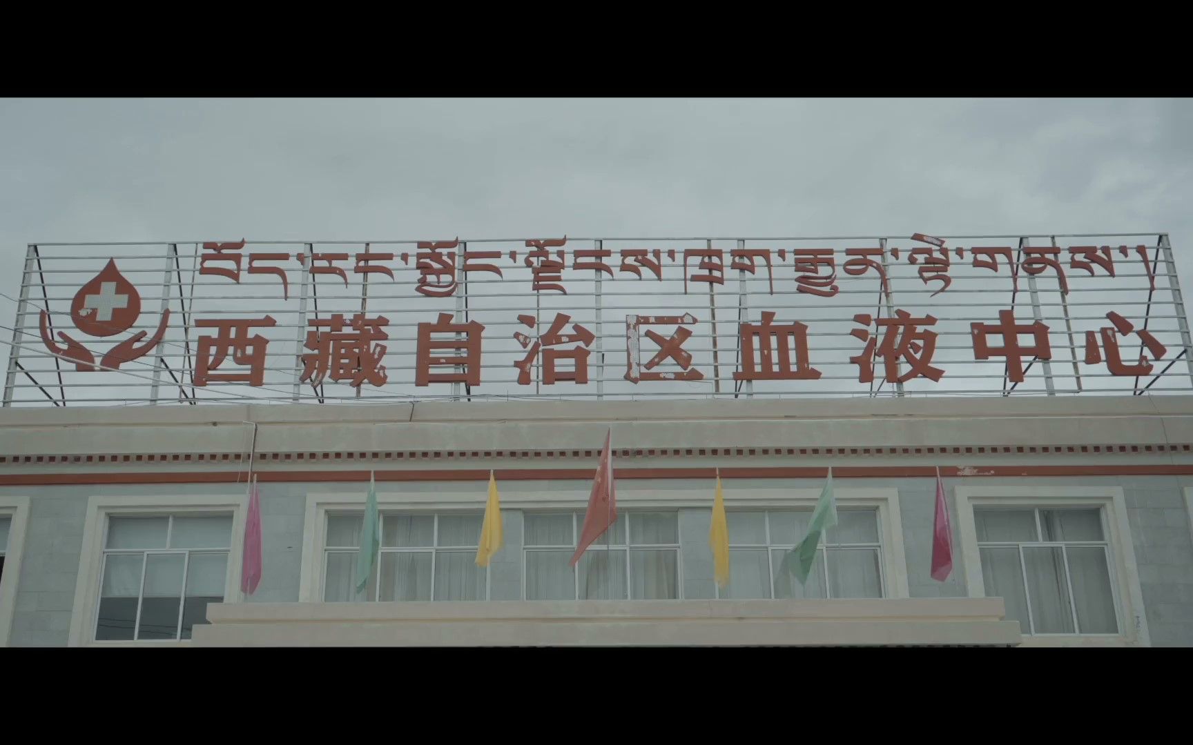 原来如此(无偿献血宣传视频之三)——西藏自治区血液中心