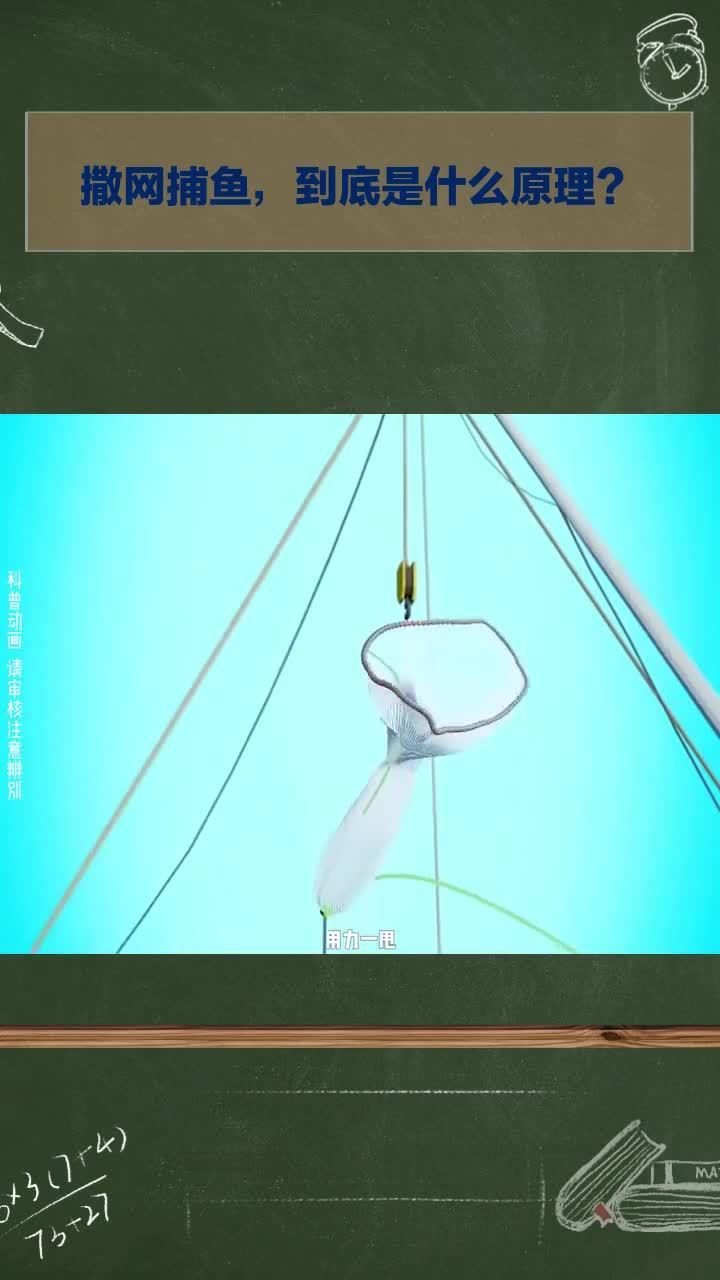 撒网捕鱼,到底是什么原理?