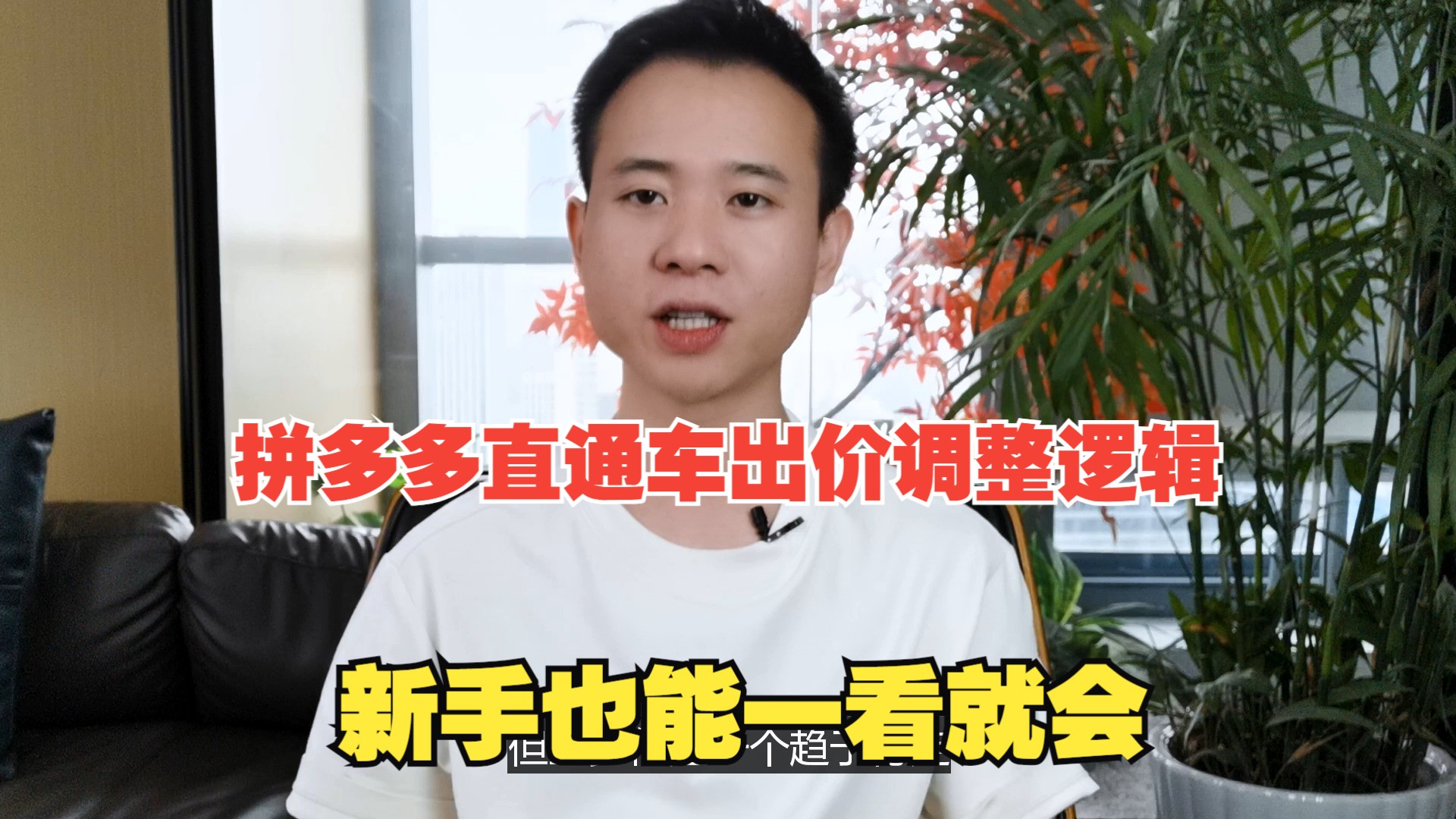 拼多多直通车出价调整逻辑,新手也能一看就会