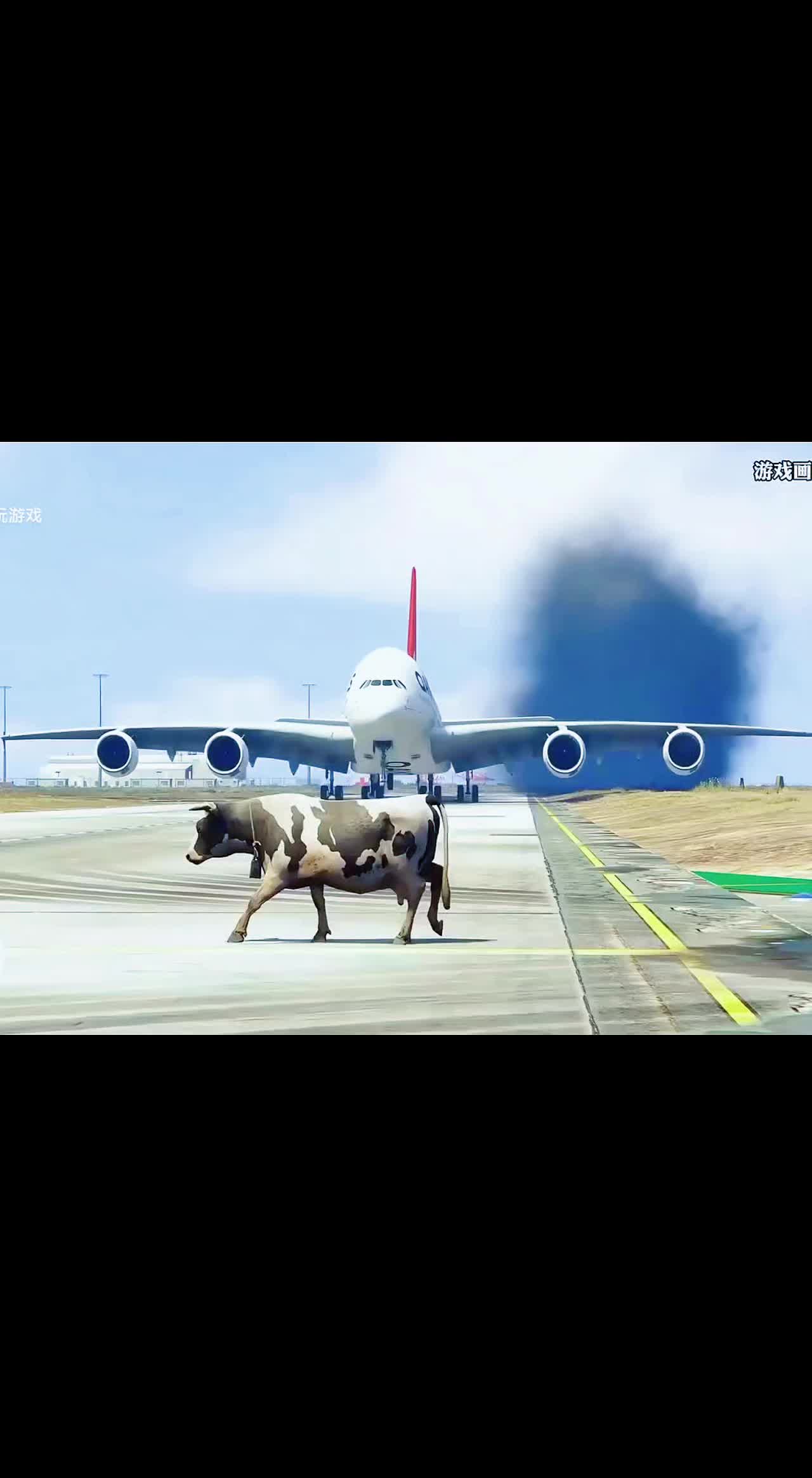 模拟器:客机加速起飞,竟意外撞上公牛?机长束手无策 #游戏推荐 #单...