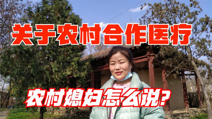 小张在农村:合作医疗要缴费,一年280元,农村媳妇怎么说的?