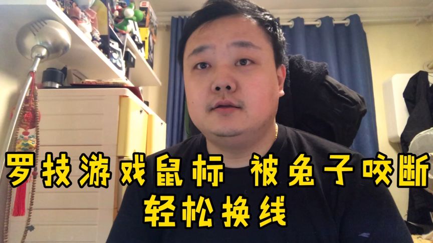 游戏鼠标线被宠物咬断 如何更换 小孙两分钟换好了鼠标线