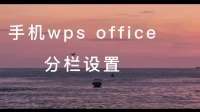 手机wps分栏设置