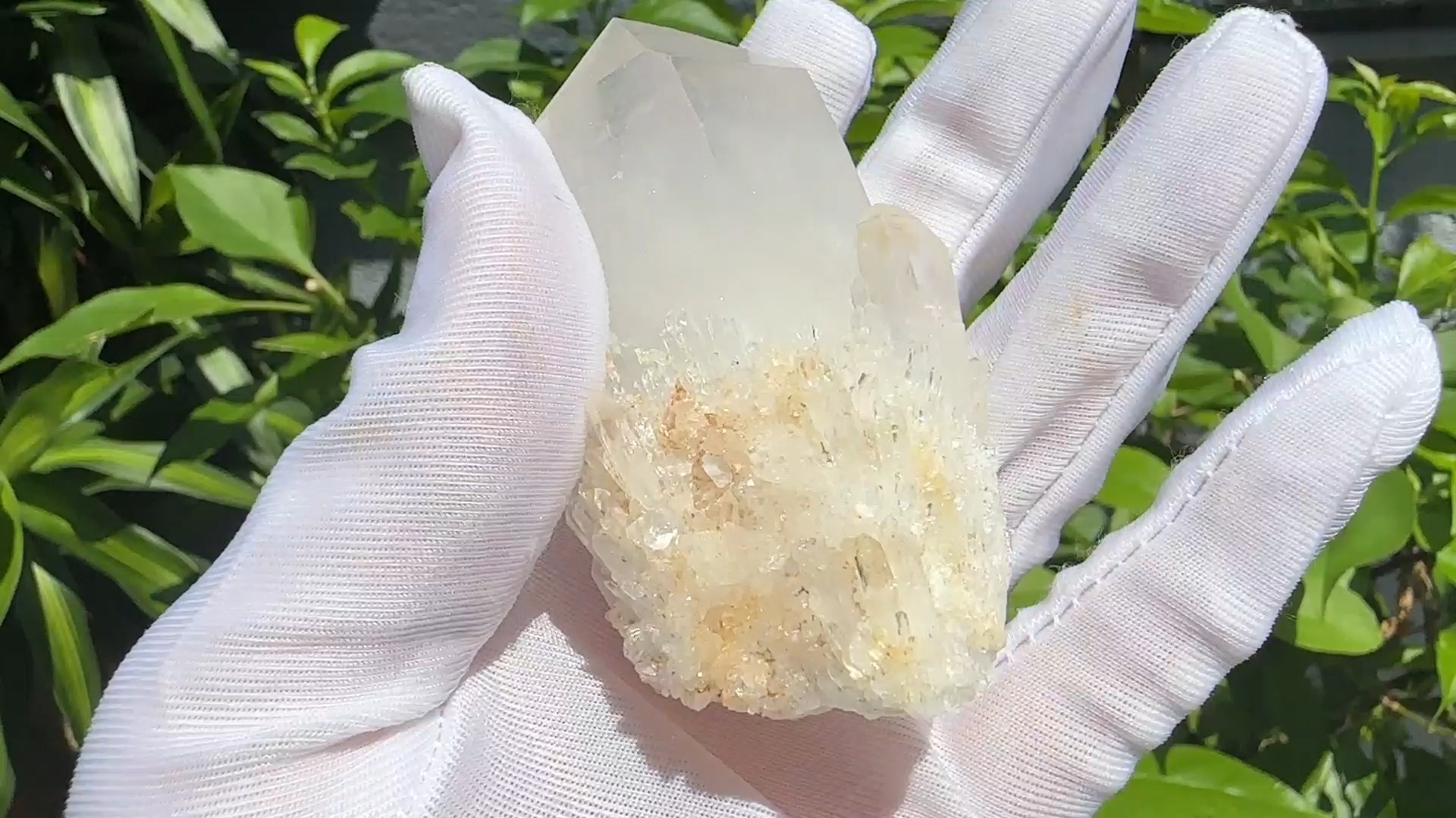 骨干水晶柱
