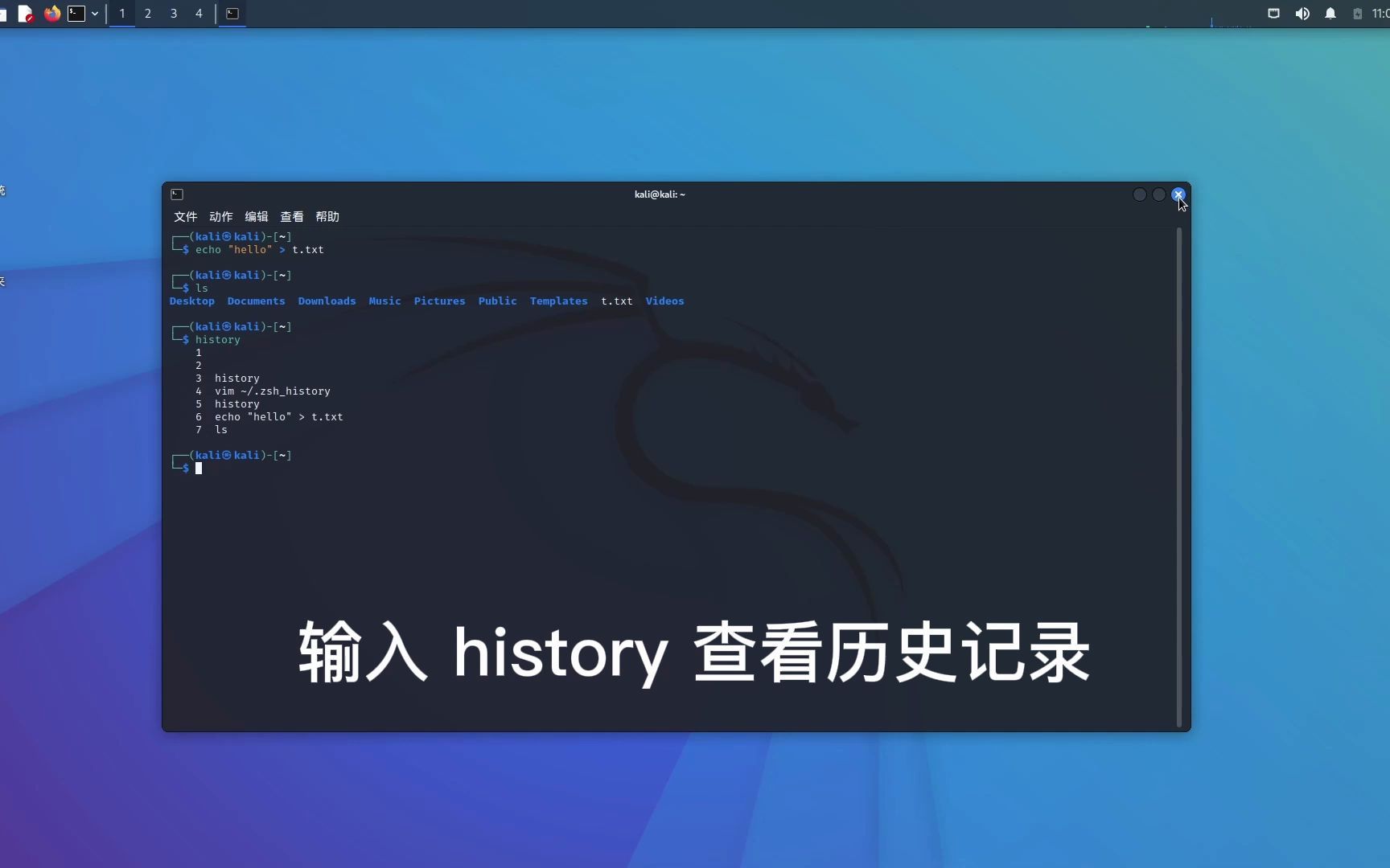 【星落】简易方法删除kali命令行的历史记录