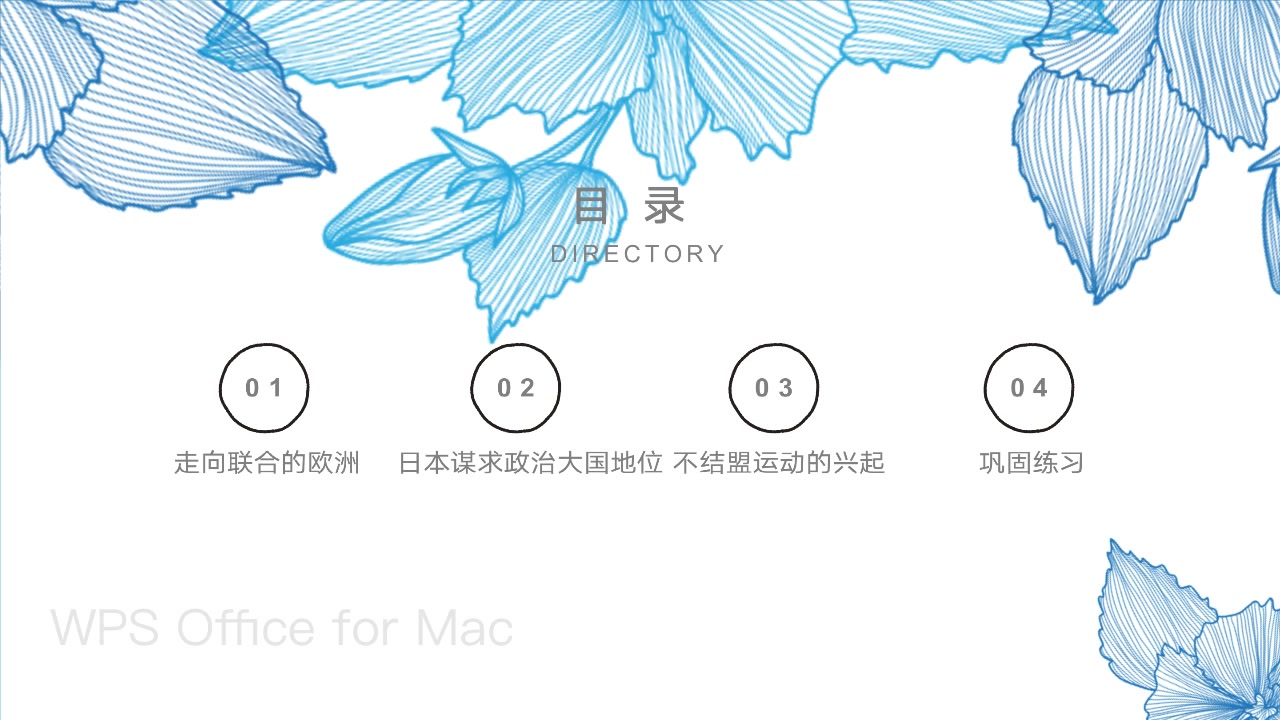 26 《世界多极化趋势的出现》