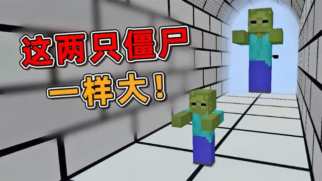 我的世界:眼睛看到的不一定是真实的?MC中的视觉错位!