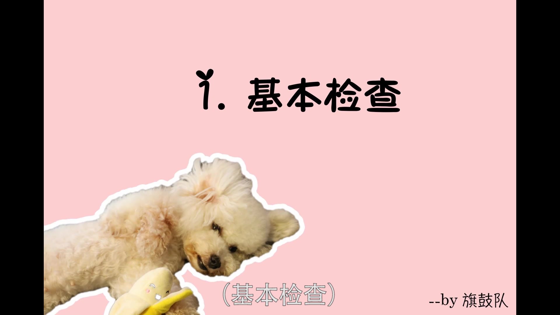 【旗鼓队】萌宠攻略:如何给狗狗洗澡?专业人员亲自给你示范