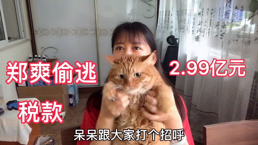猫妈每日分享:郑爽偷逃税案处罚决定公布,被罚2.99亿元!