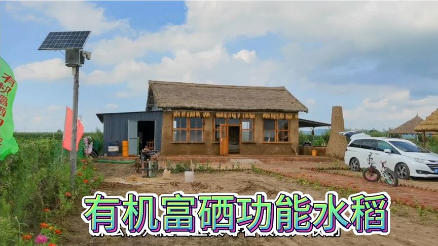 五常富硒有机大米多少钱能吃到?波波带你了解富硒功能水稻。