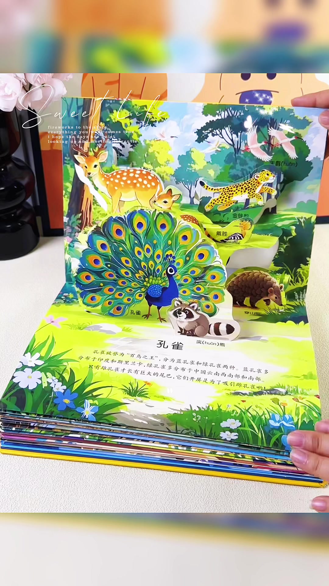 3D立体动物世界 没有哪个孩子会拒绝的动物世界翻翻书,真的是绝绝子...