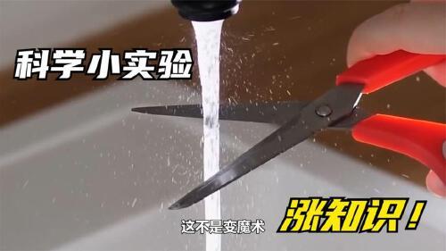 几个简单易上手的科学小实验,让孩子在实验中轻松领悟科学原理!