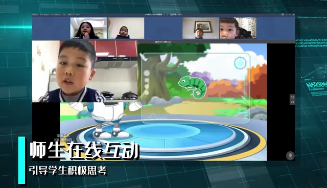 动物保护色