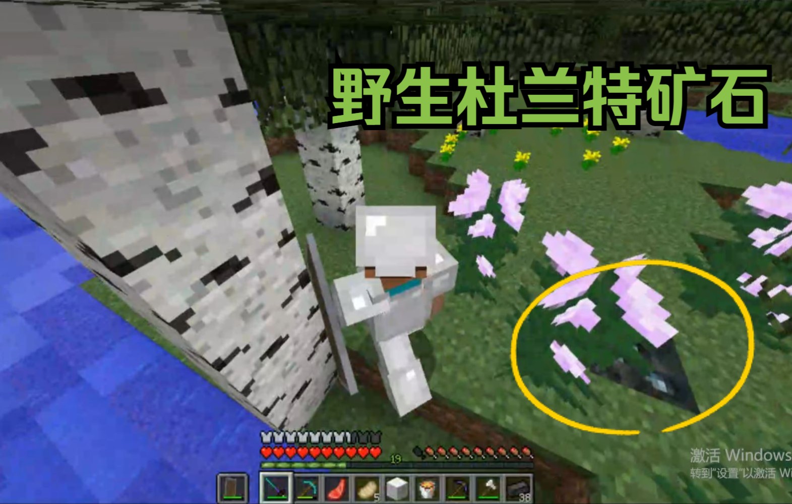 1.12匠魂合金附加生存02:发现野生杜兰特矿石