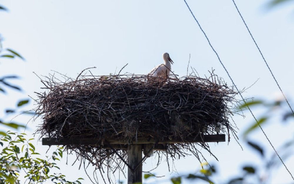 柱体锥体台体的表面积和体积