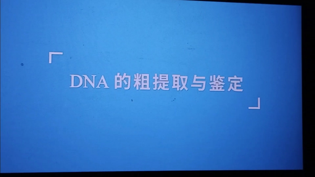 高中生物选修三实验:DNA的粗提取与鉴定