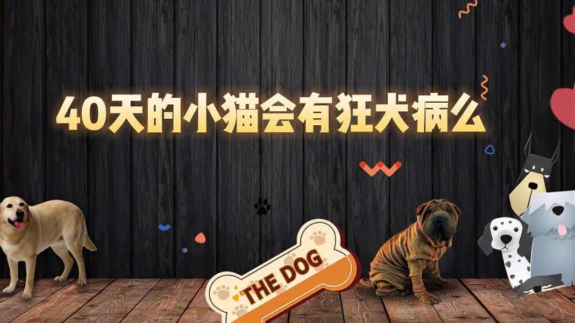 40天的小猫会有狂犬病么