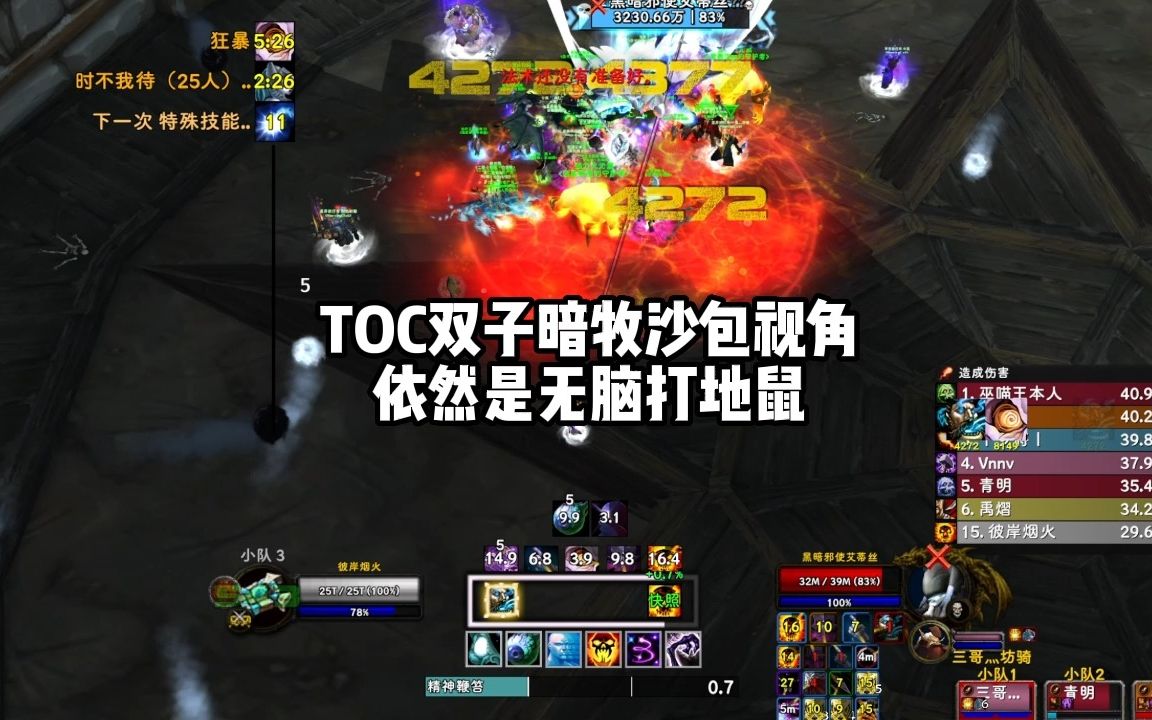 WLK暗牧TOC双子沙包视角_魔兽世界