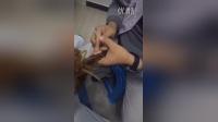 留置针使用方法和拔针方法教程