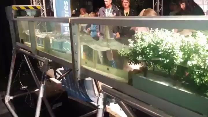 模型为你展示红树林是如何保护海岸免受海浪侵蚀