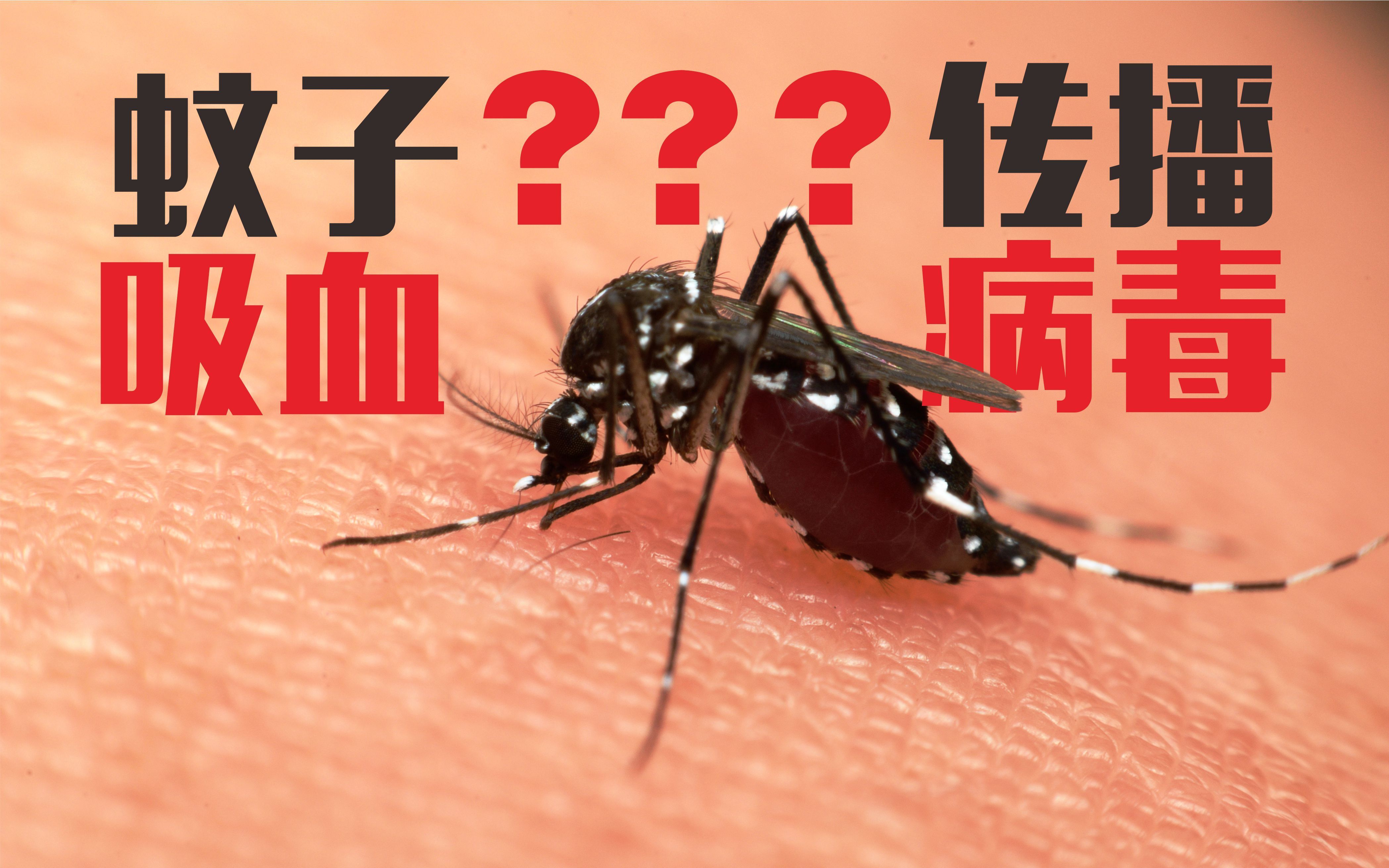 蚊子吸血会传播新冠病毒吗?显微镜下1500倍观察,看完放心了