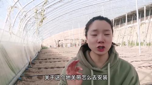 滴灌带安装细节来了,超简单,一看就会