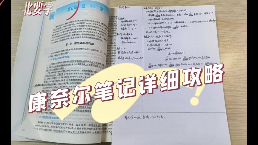 纯学习干货分享,#康奈尔笔记法 快速提高记笔记的效率